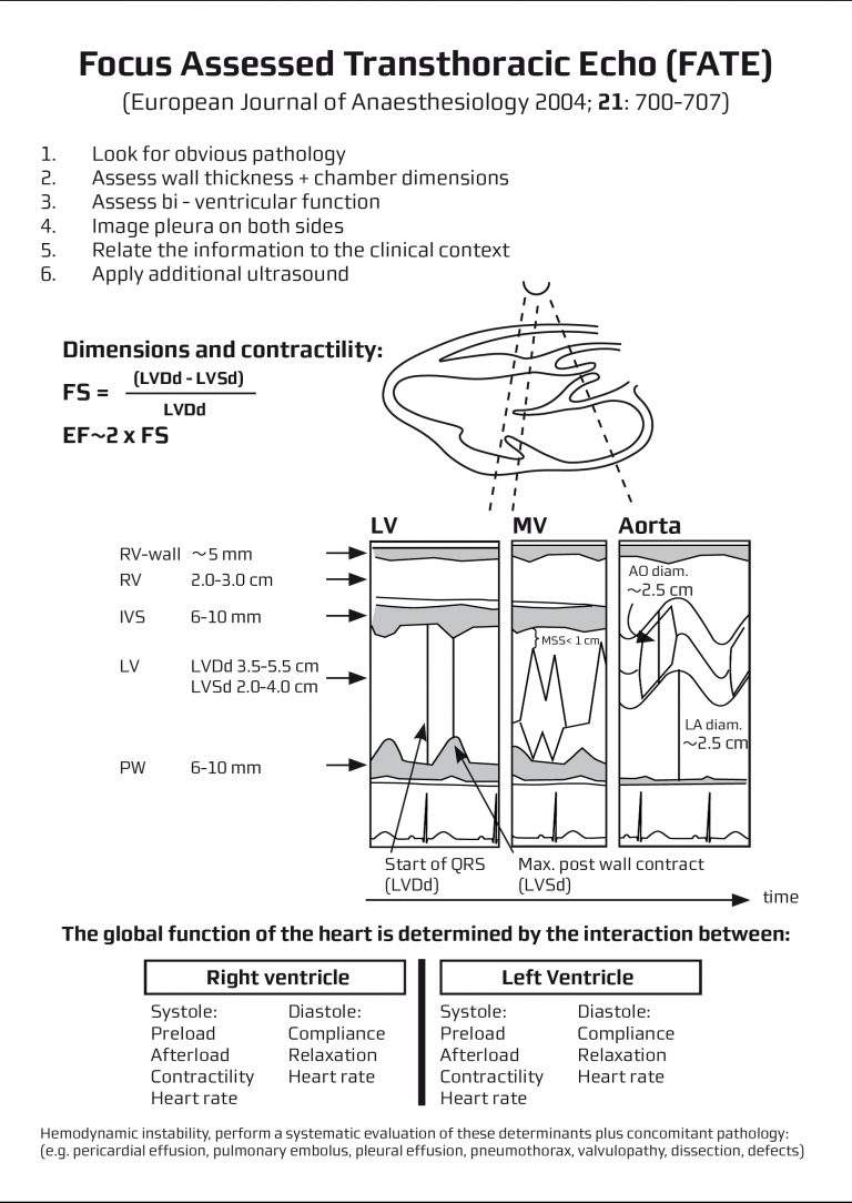 Echocardiography – Cardiac Ultrasound, Indications and Uses - The ...