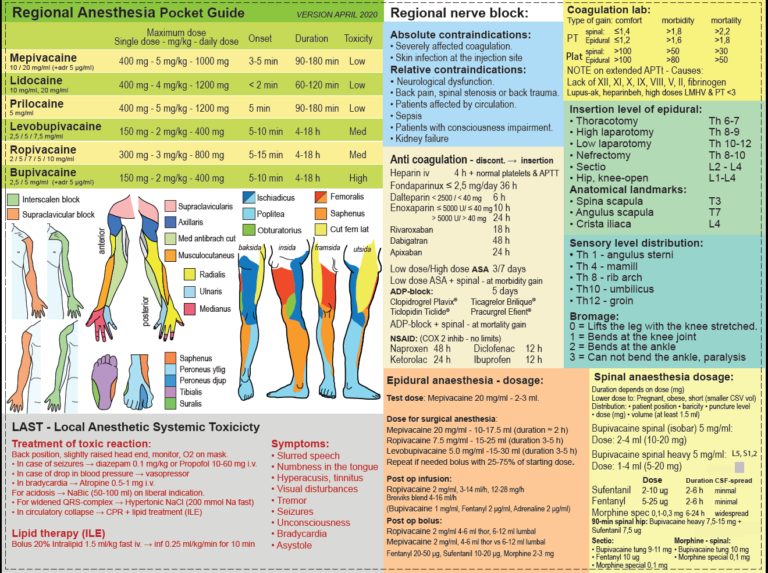 Nerve Blocks and Neuraxial Anesthesia – Regional Techniques - The ...