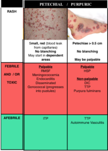 Thrombocytopenia – Diagnosis and Treatment of ITP, TTP and HIT - The ...