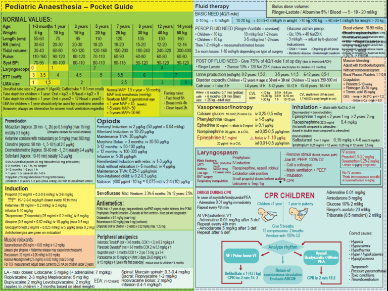 Pediatric anesthesia – methods, drugs and safety in anesthesia for ...